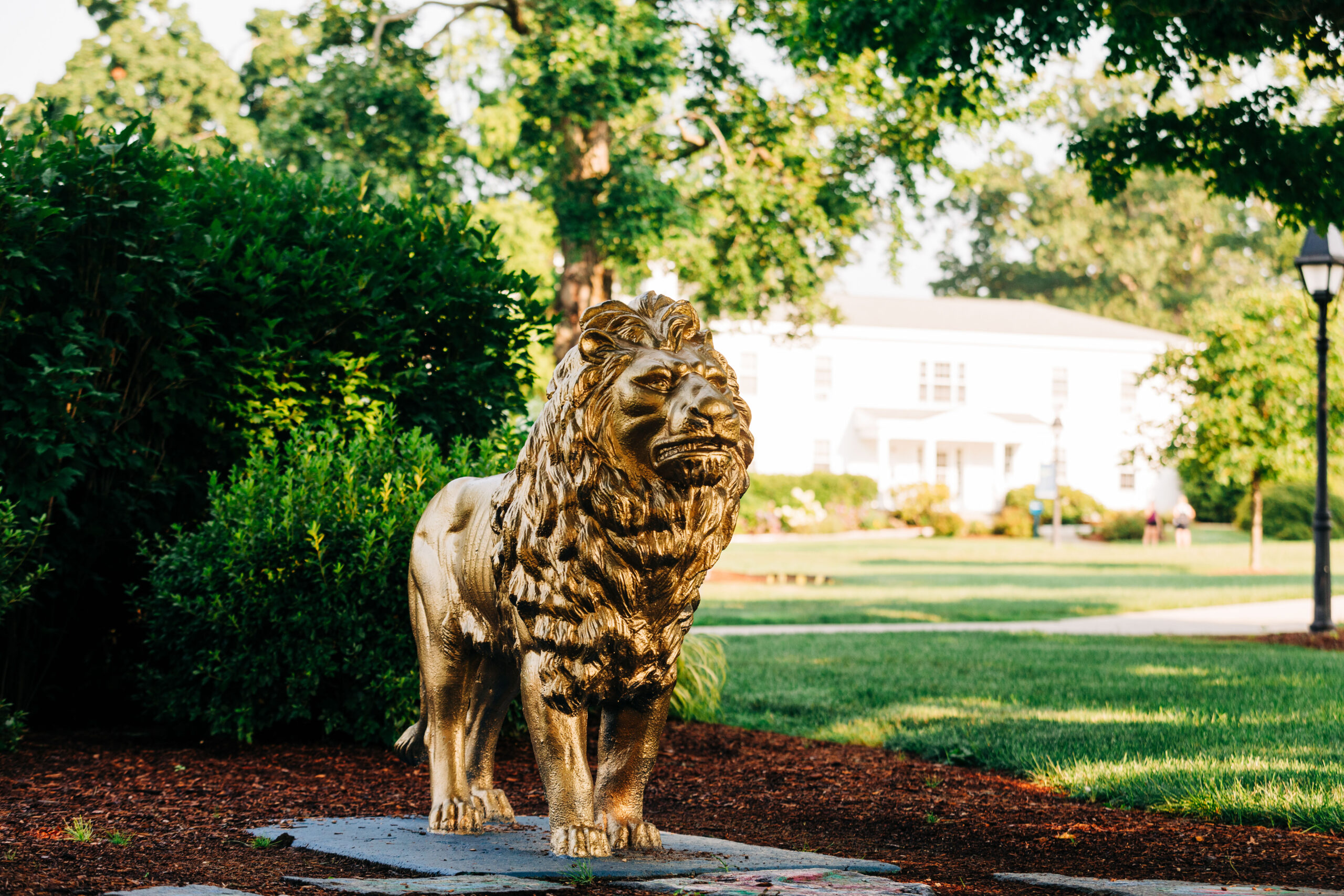 Reunion 2025: Alumni Awards and Athletic Hall of Fame Honorees Announced - Williston