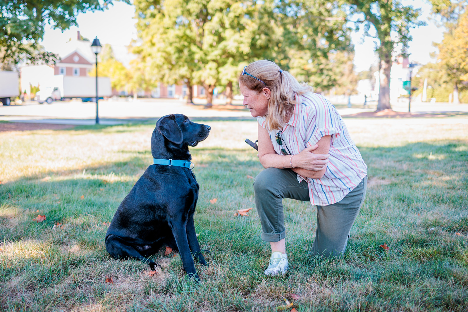 Meet Henry: Williston's New Top Dog - Williston